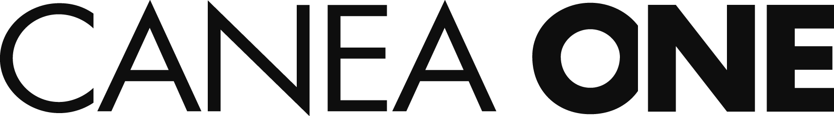 CANEA ONE – IT support for management systems