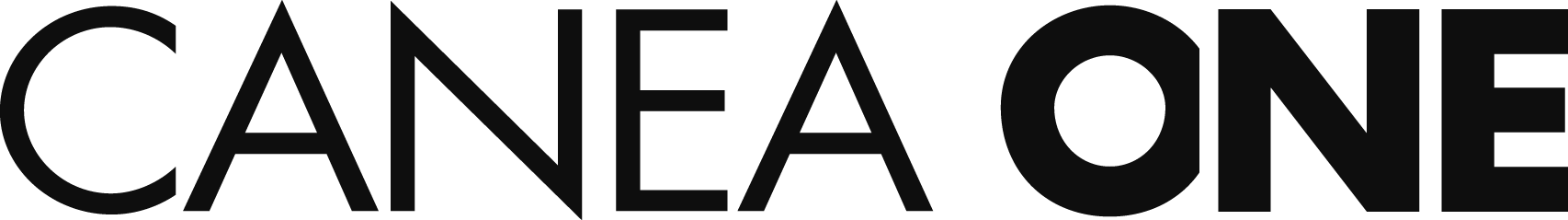 CANEA ONE – IT support for management systems