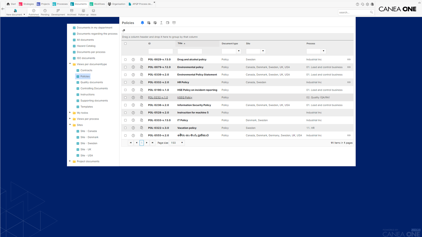 CANEA ONE – IT support for management systems