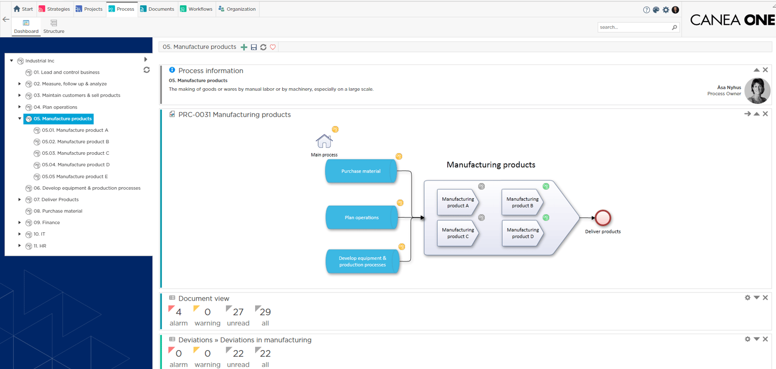 CANEA Process - Process Modelling