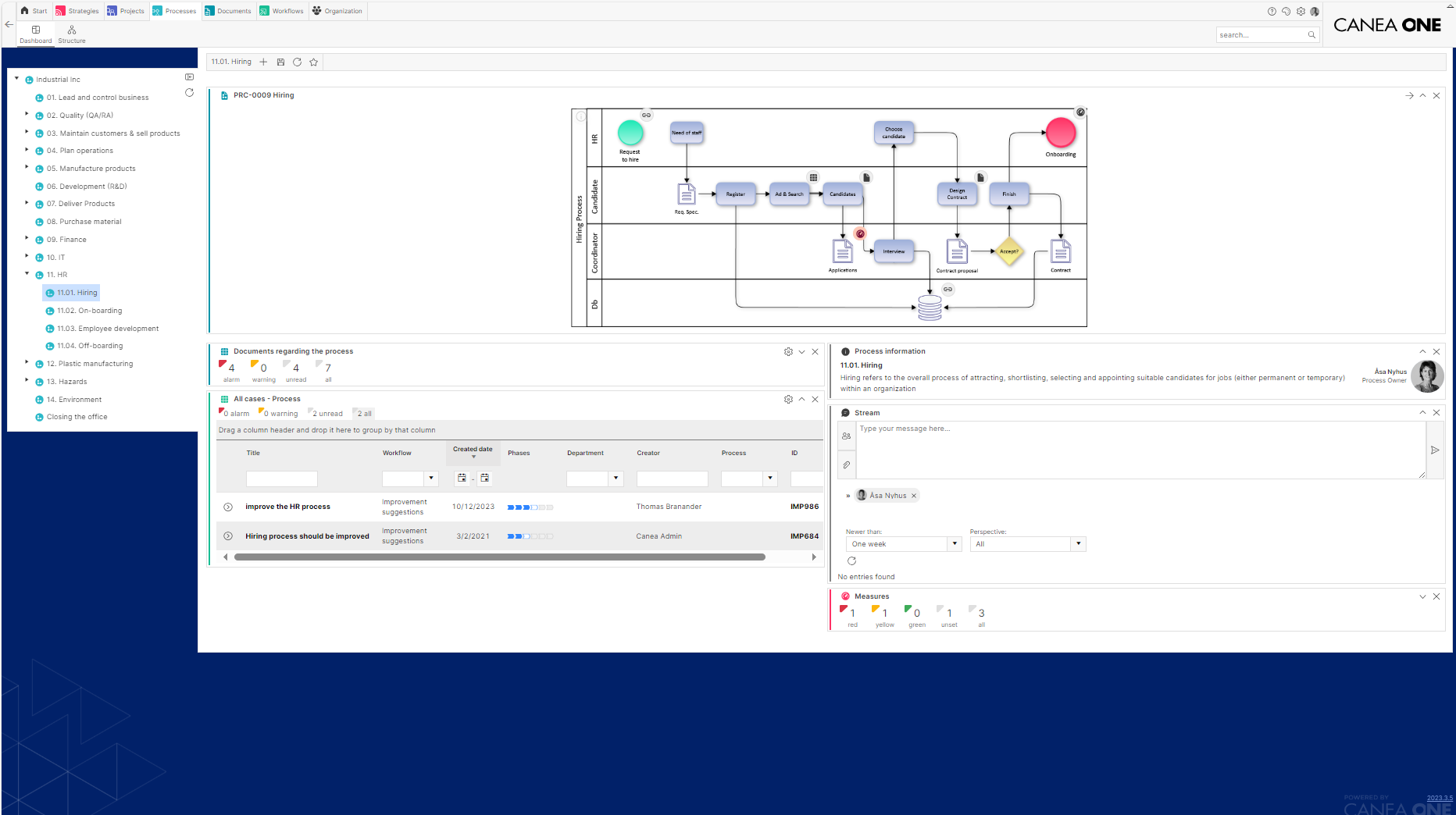 CANEA ONE – IT support for management systems