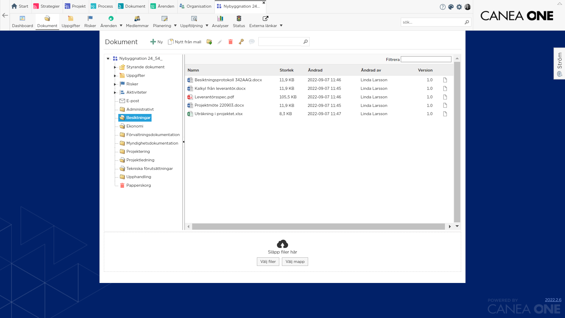 CANEA Project – Project management