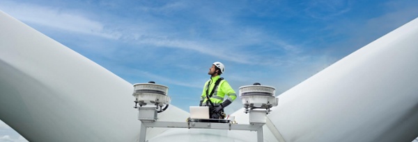 CANEA ONE – IT support for management systems