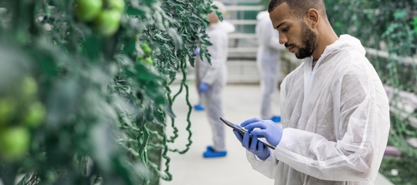 CANEA ONE – IT support for management systems