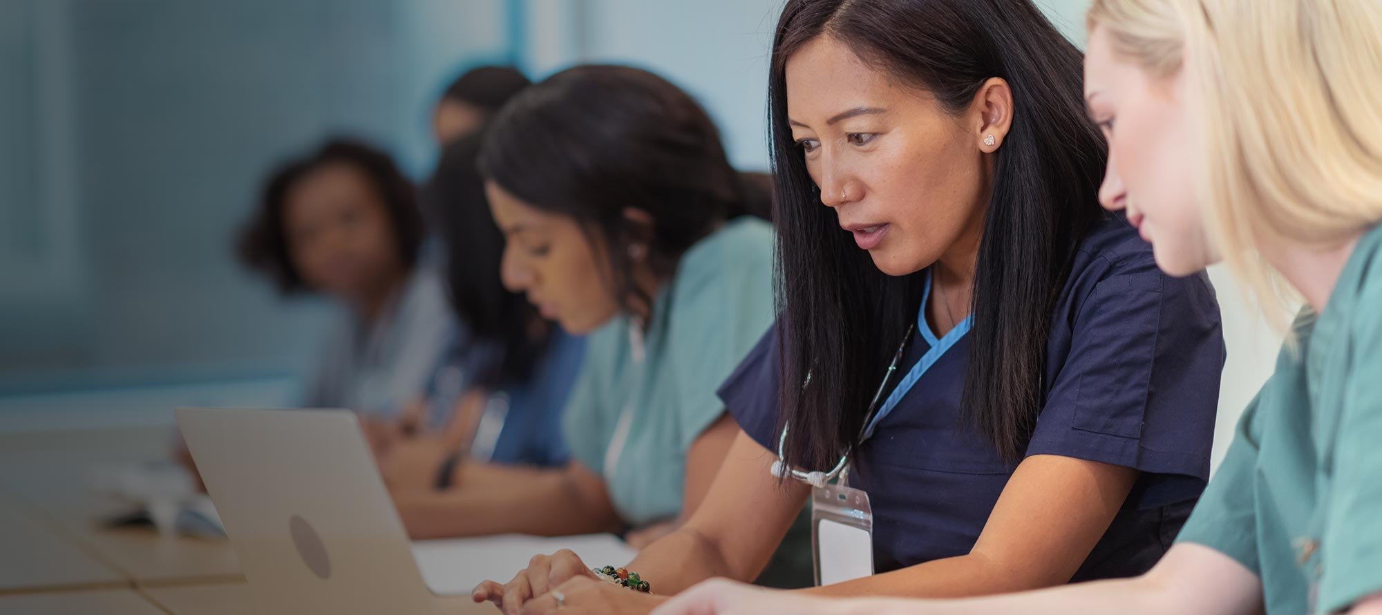 Management systems | CANEA