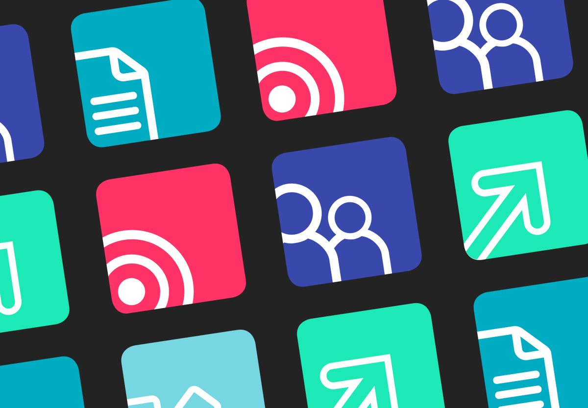 CANEA ONE – IT support for management systems