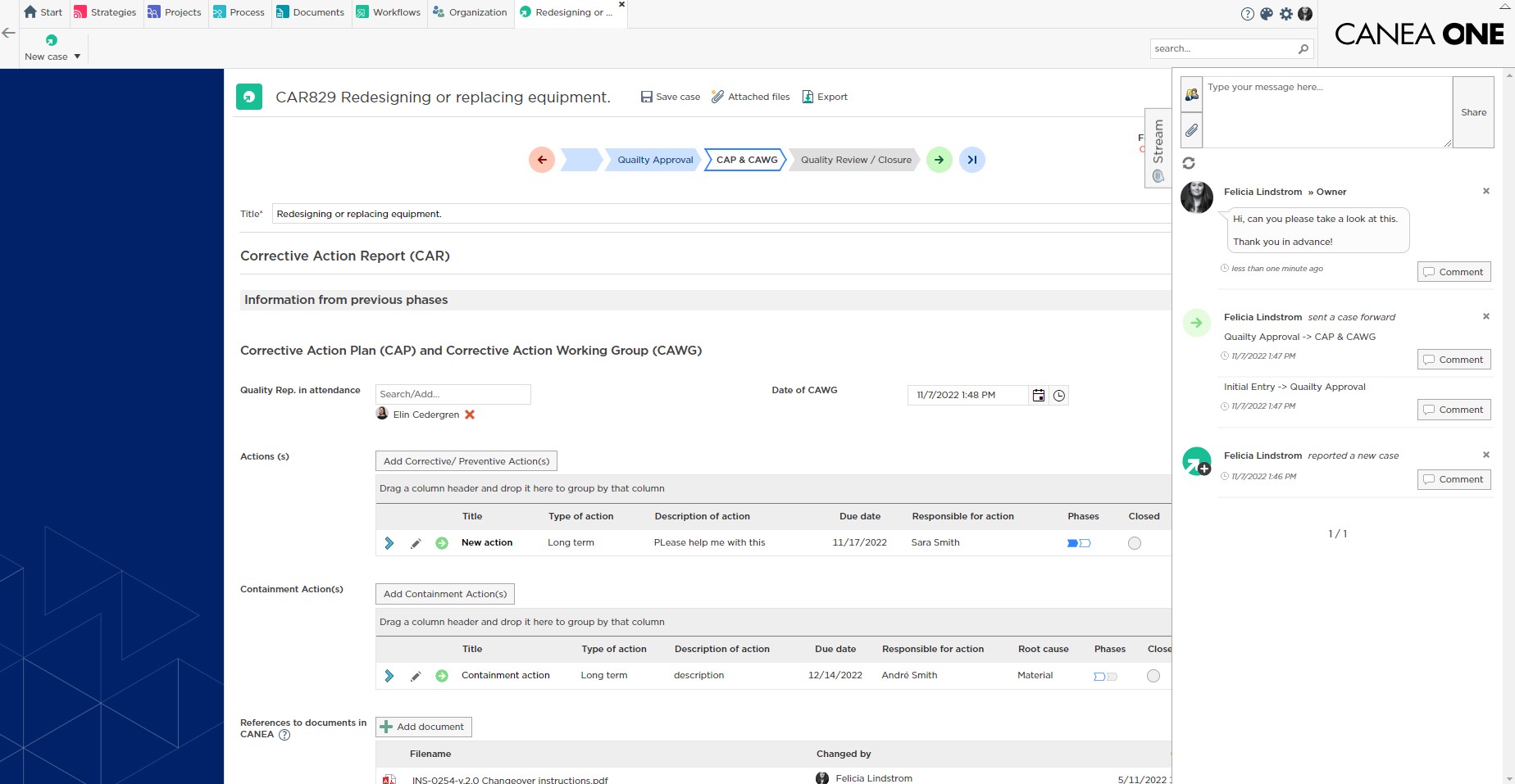 CANEA Workflow – Case Management System