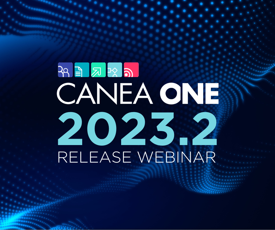 New version of CANEA ONE 2023.1